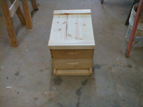 Build a Bee Hive: An Illustrated, Step-By-Step Guide