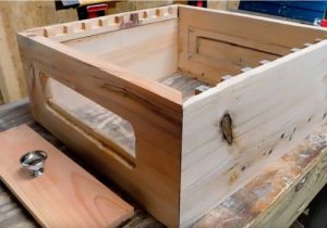 DIY Beehive Plans: Build Your Own Buzzing Paradise - Bees And Beekeeping