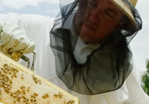 Beekeeper Safety Equipment: A Guide to Protective Gear for Newbies ...